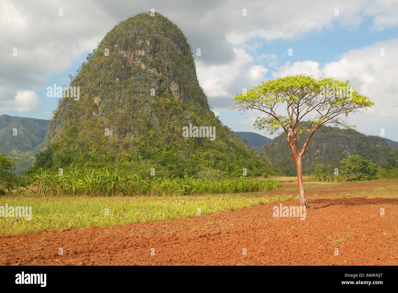 Landforms of cuba hi-res stock photography and images - Alamy