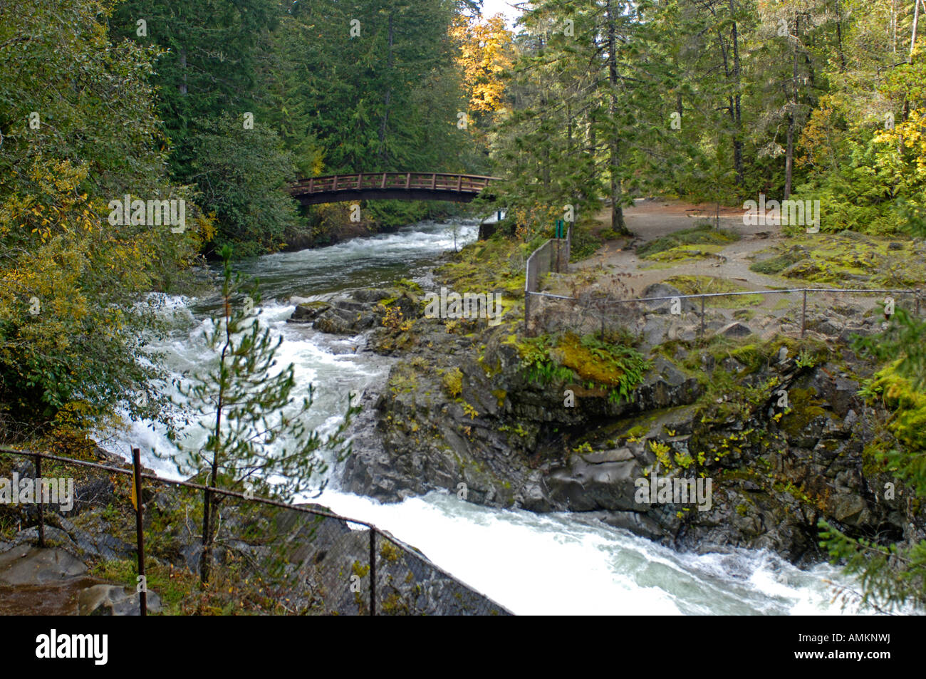 Little Qualicum River Falls Provincial Park Stock Photo - Alamy