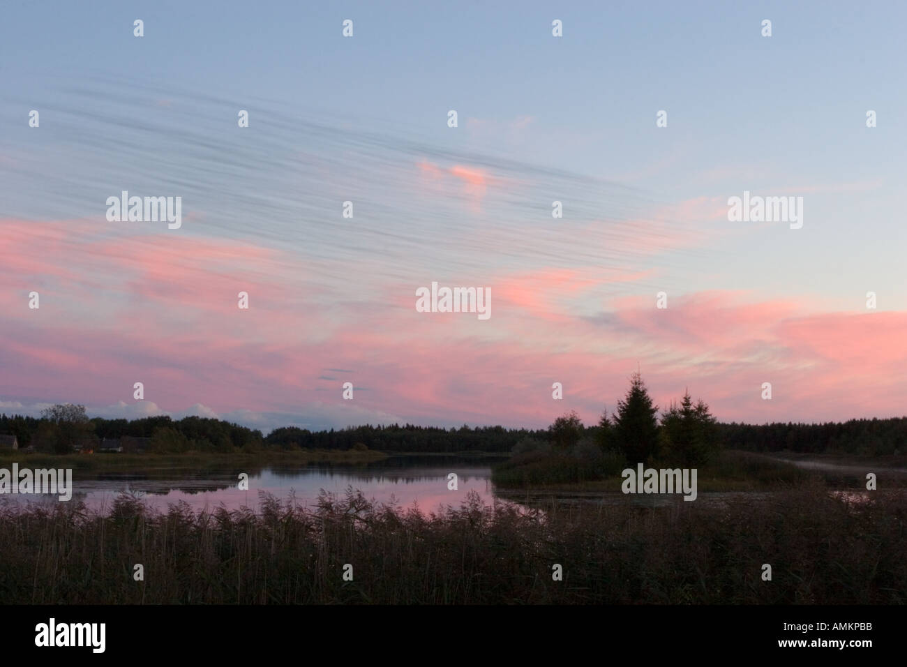 Starling formations hi-res stock photography and images - Alamy