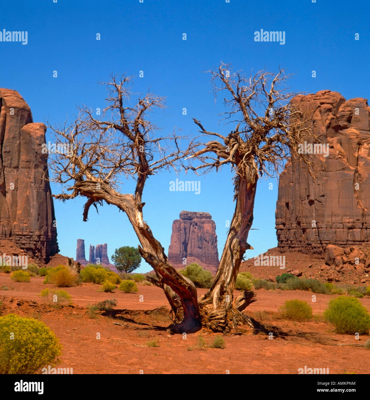 Monument Valley on the Utah/Arizona border, USA Stock Photo - Alamy