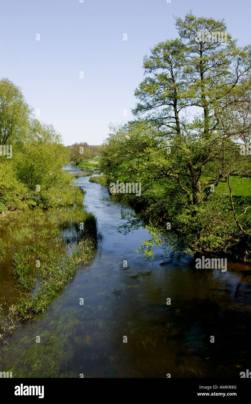 River Avon in early summer Stock Photo - Alamy