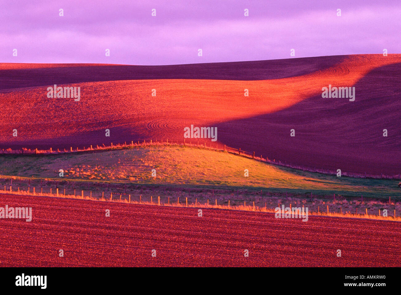 Hills at Sunset, Whitman County, Washington State, USA Stock Photo - Alamy
