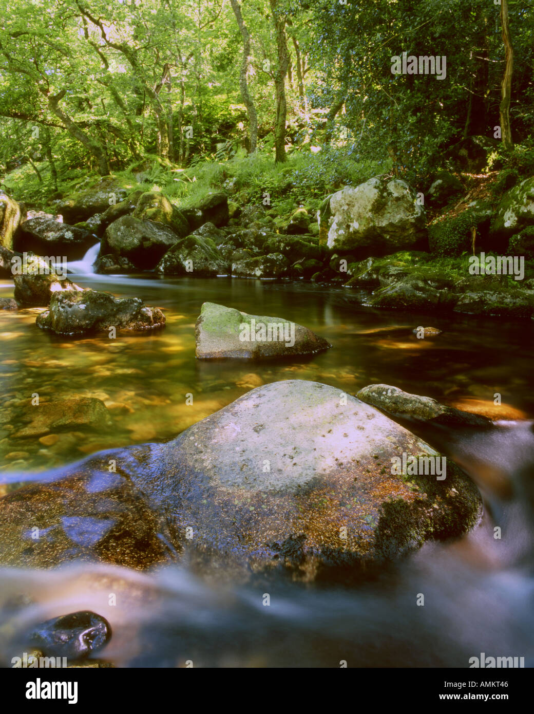 River Plym near Shaugh Bridge, Dartmoor with water flowing over rocks ...