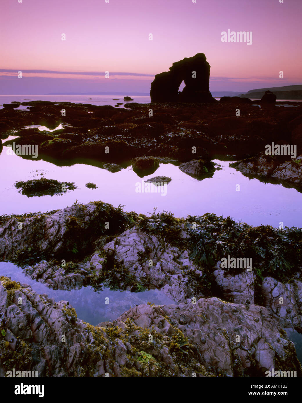 Thurlestone arch hi-res stock photography and images - Alamy