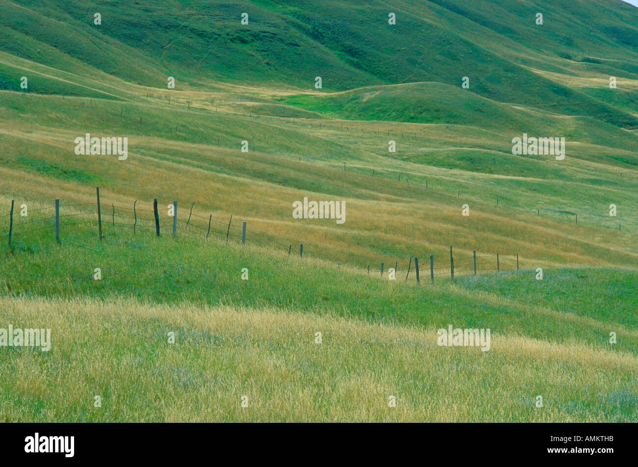 Southern alberta hill hi-res stock photography and images - Alamy