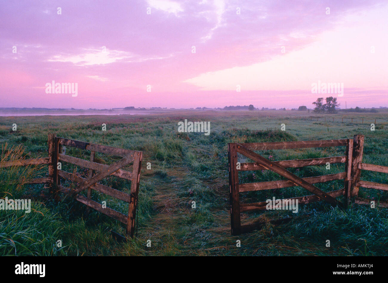 Open_gate High Resolution Stock Photography and Images - Alamy