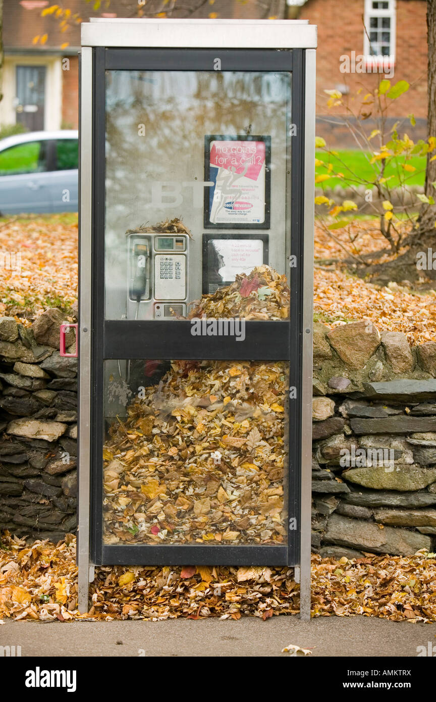 Bizarre phone box hi-res stock photography and images - Alamy