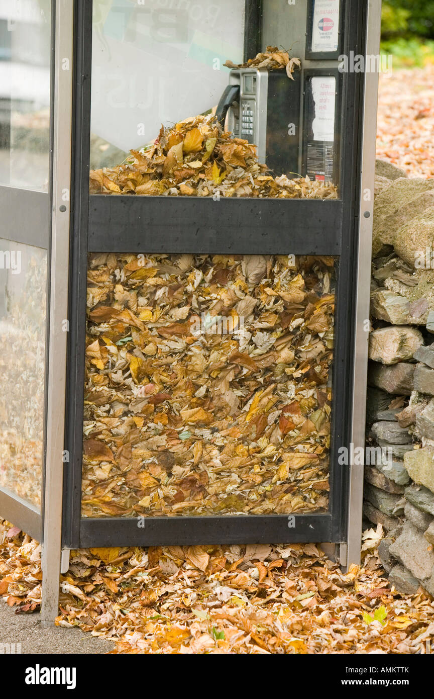 Bizarre phone box hi-res stock photography and images - Alamy