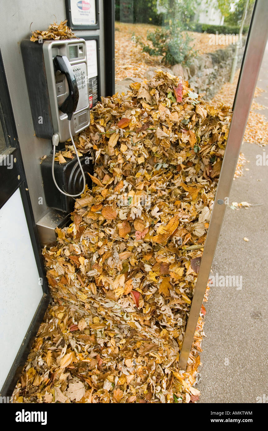 Bizarre phone box hi-res stock photography and images - Alamy