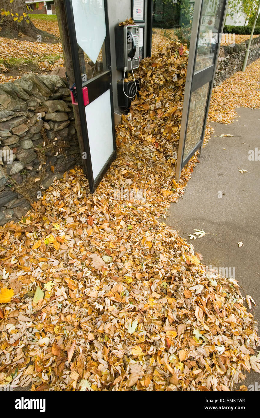Bizarre phone box hi-res stock photography and images - Alamy