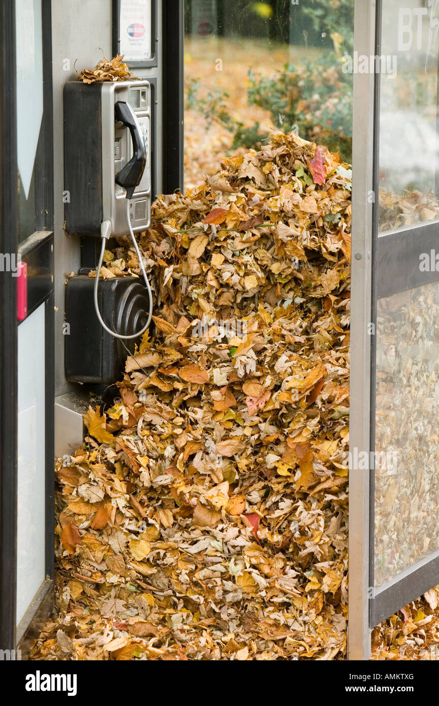 Bizarre phone box hi-res stock photography and images - Alamy