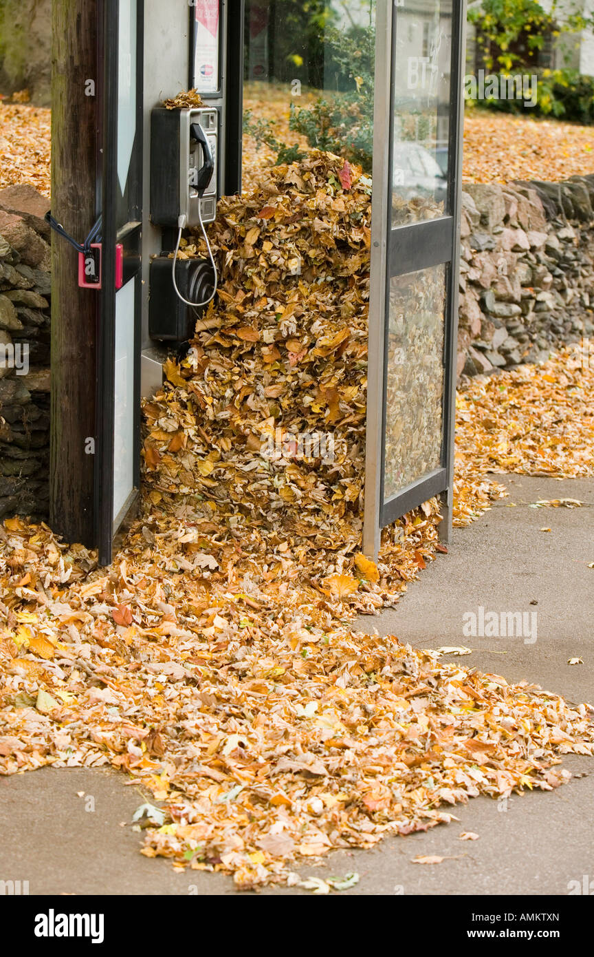 Bizarre phone box hi-res stock photography and images - Alamy