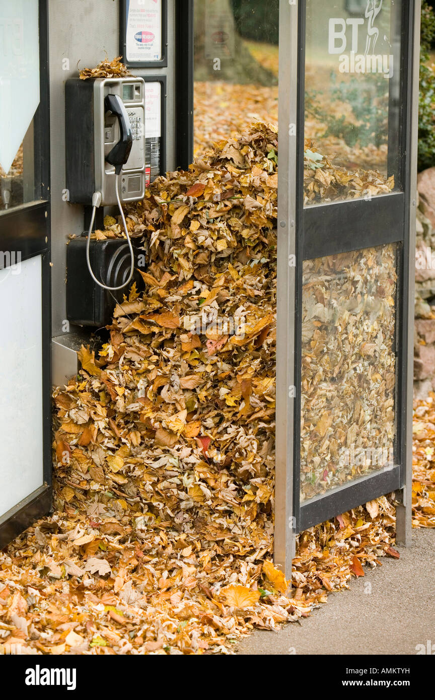 Bizarre phone box hi-res stock photography and images - Alamy