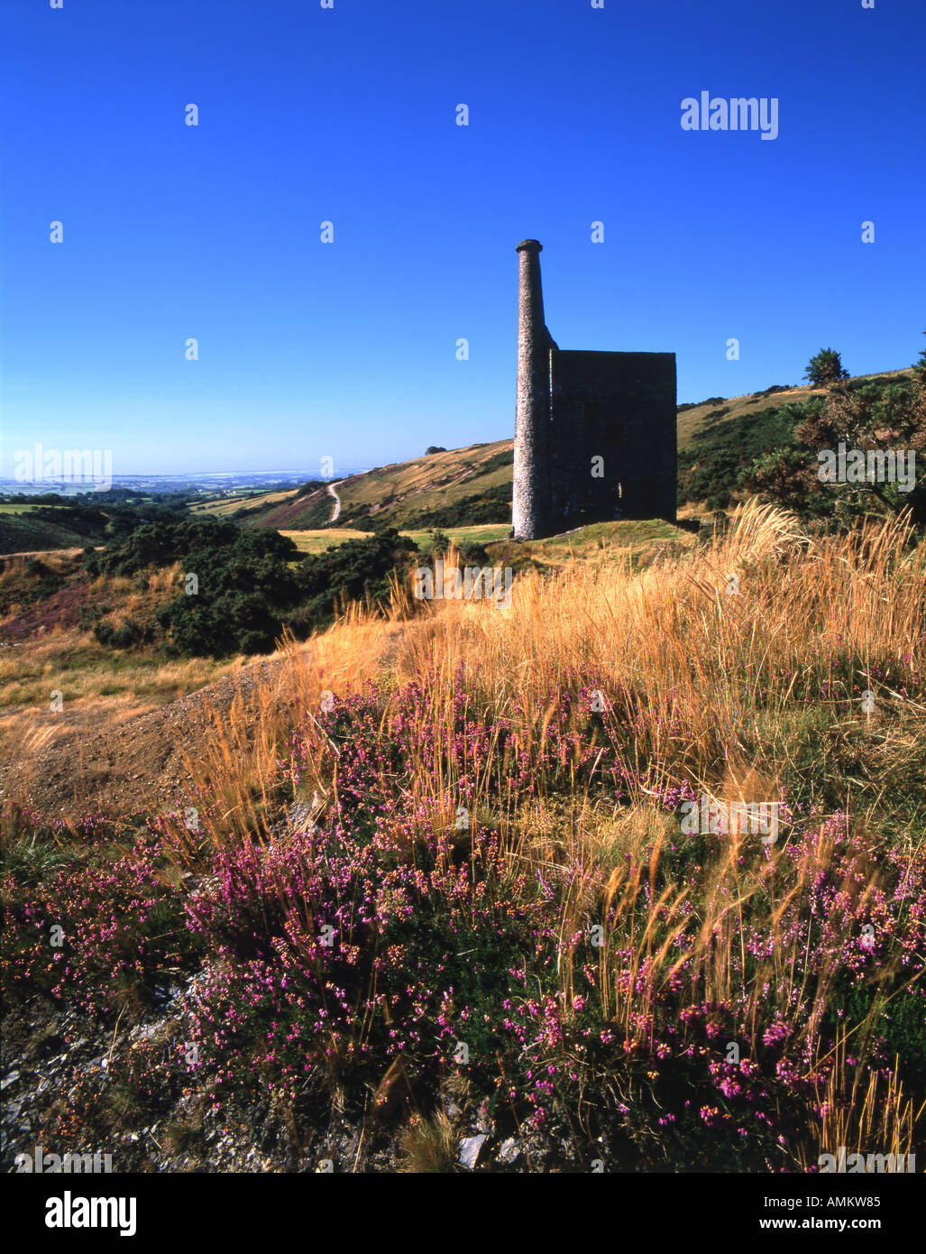 Wheal Betsy, Dartmoor, Devon Stock Photo - Alamy