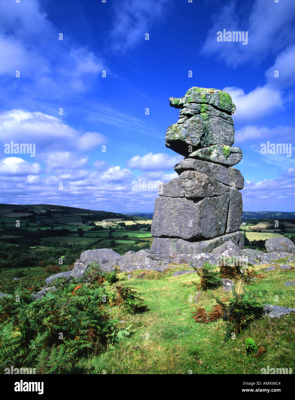 Bowerman's Nose, Granite Formation on Hayne Down Dartmoor Devon Stock ...