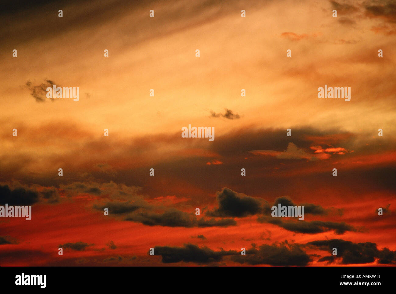 Sunset, Cardinal Divide, Alberta, Canada Stock Photo - Alamy