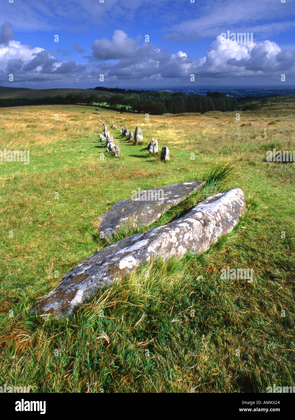 Dartmoor stone row hi-res stock photography and images - Alamy