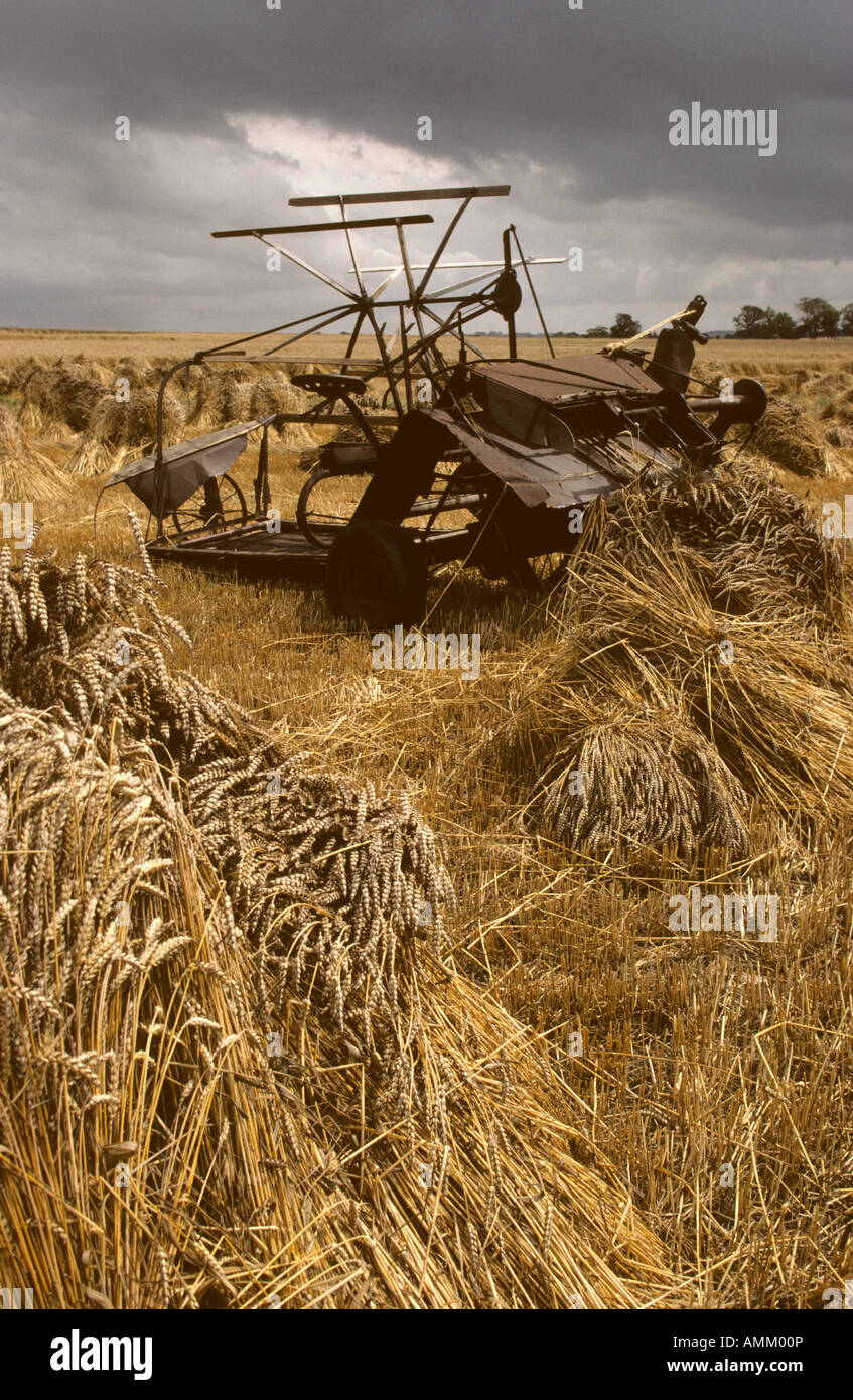 Binder farm hi-res stock photography and images - Alamy