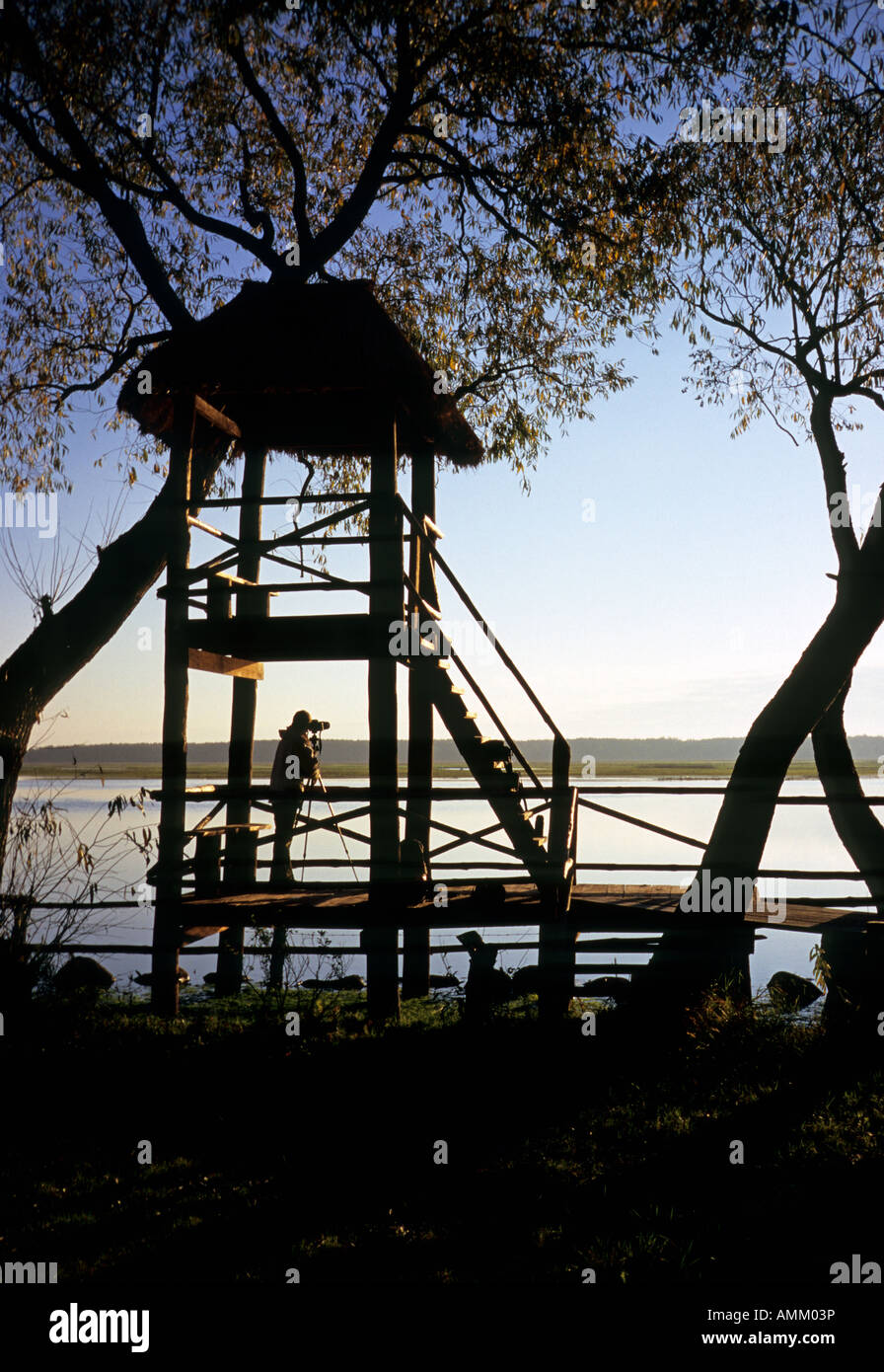 Poland Biebrza Brzostowo watchtower man taking photo Stock Photo - Alamy