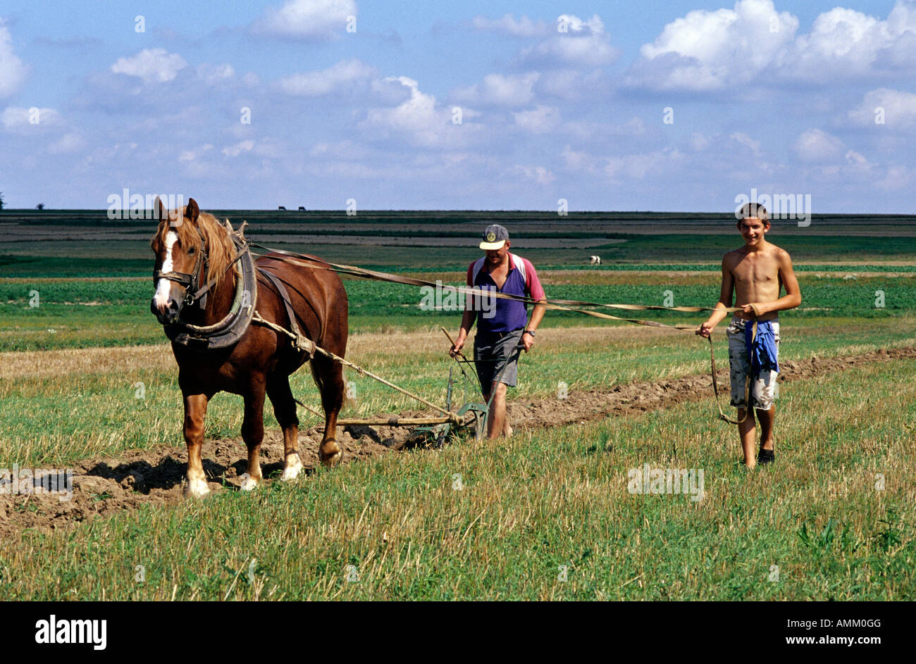 Poland Jadowniki farmers do horse drudgery toil Stock Photo - Alamy