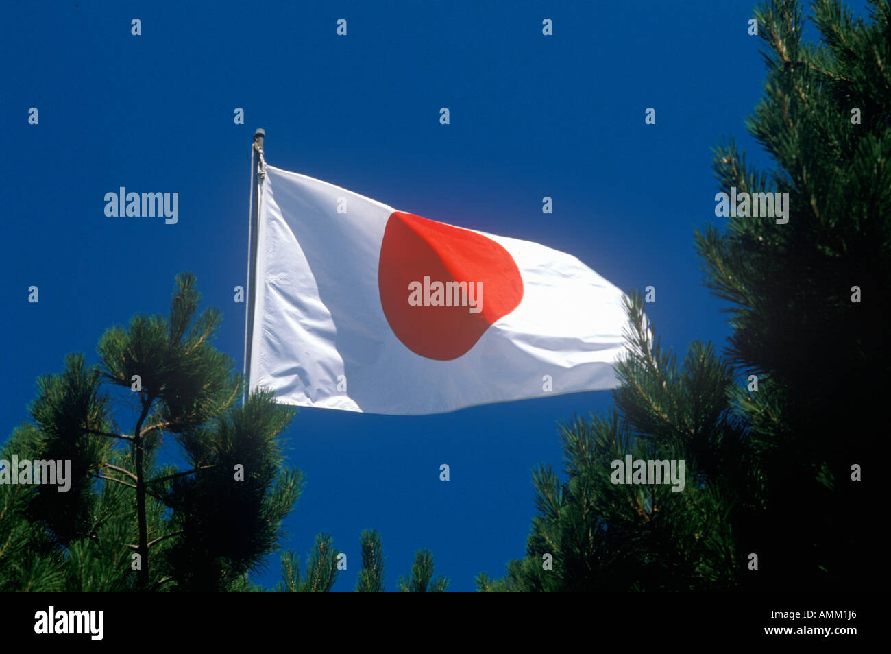 Japanese rising sun flag hi-res stock photography and images - Alamy