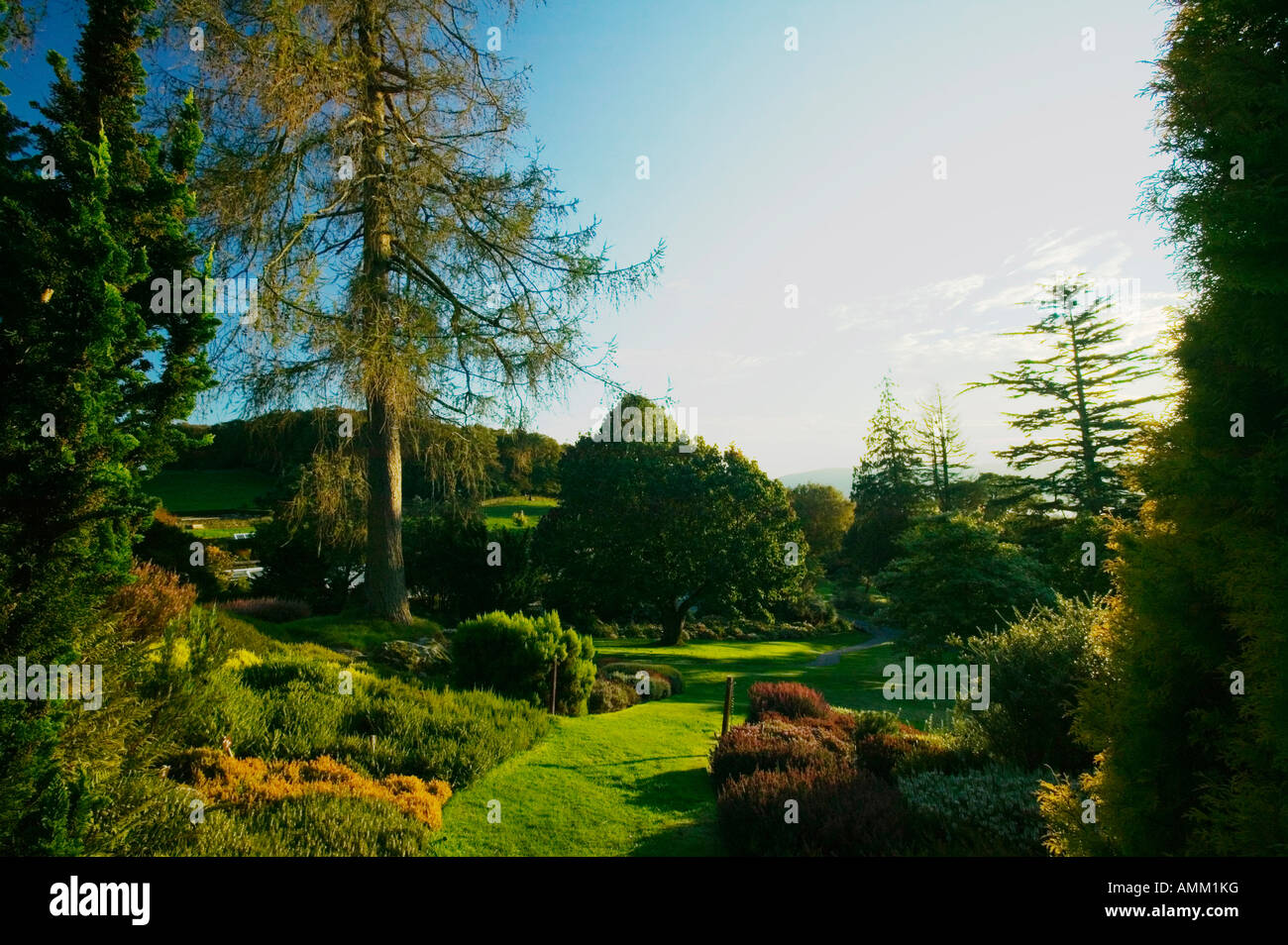Borders at Holehird Gardens Windermere Cumbria UK Stock Photo - Alamy