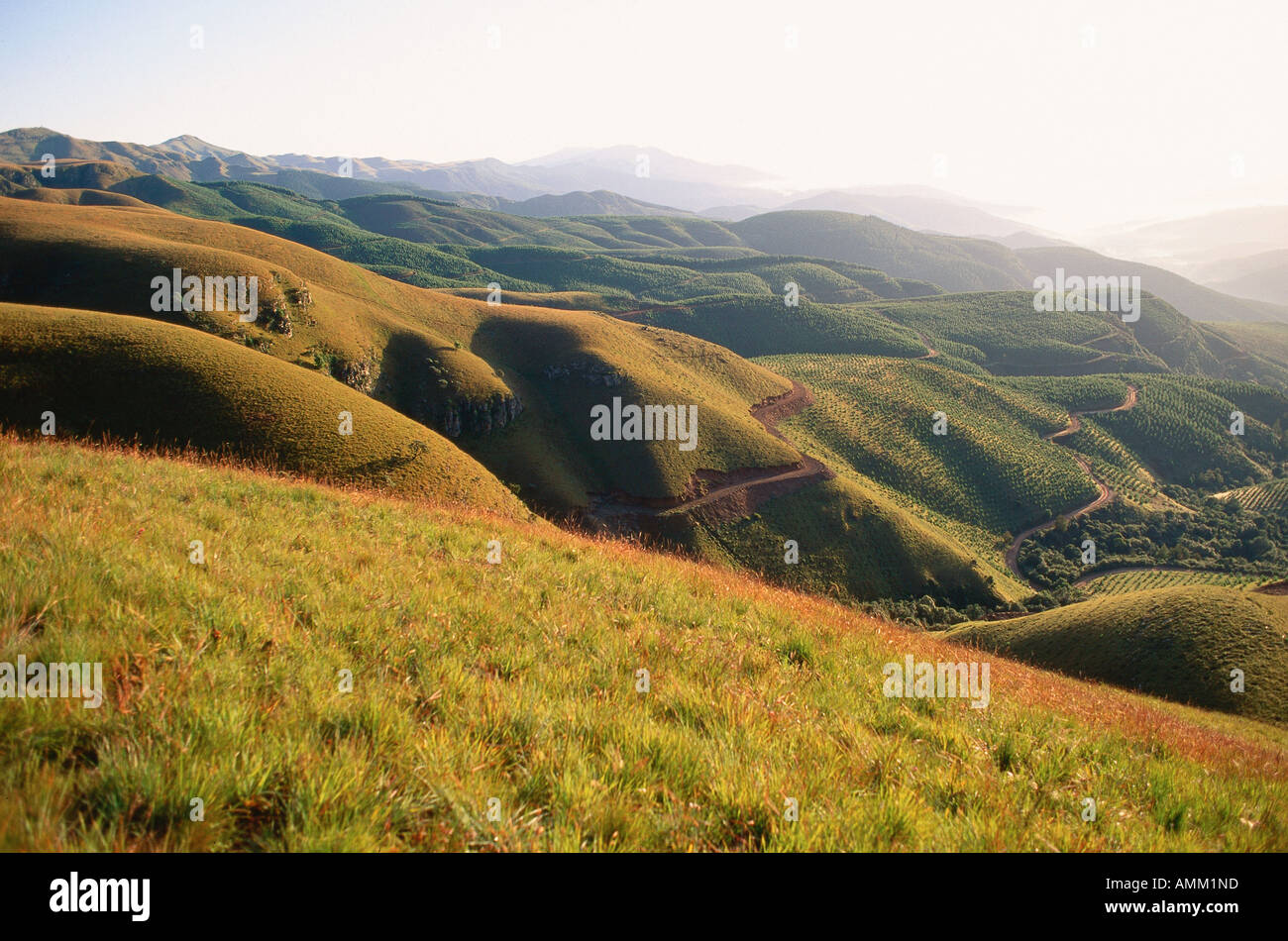 Long tom pass hi-res stock photography and images - Alamy