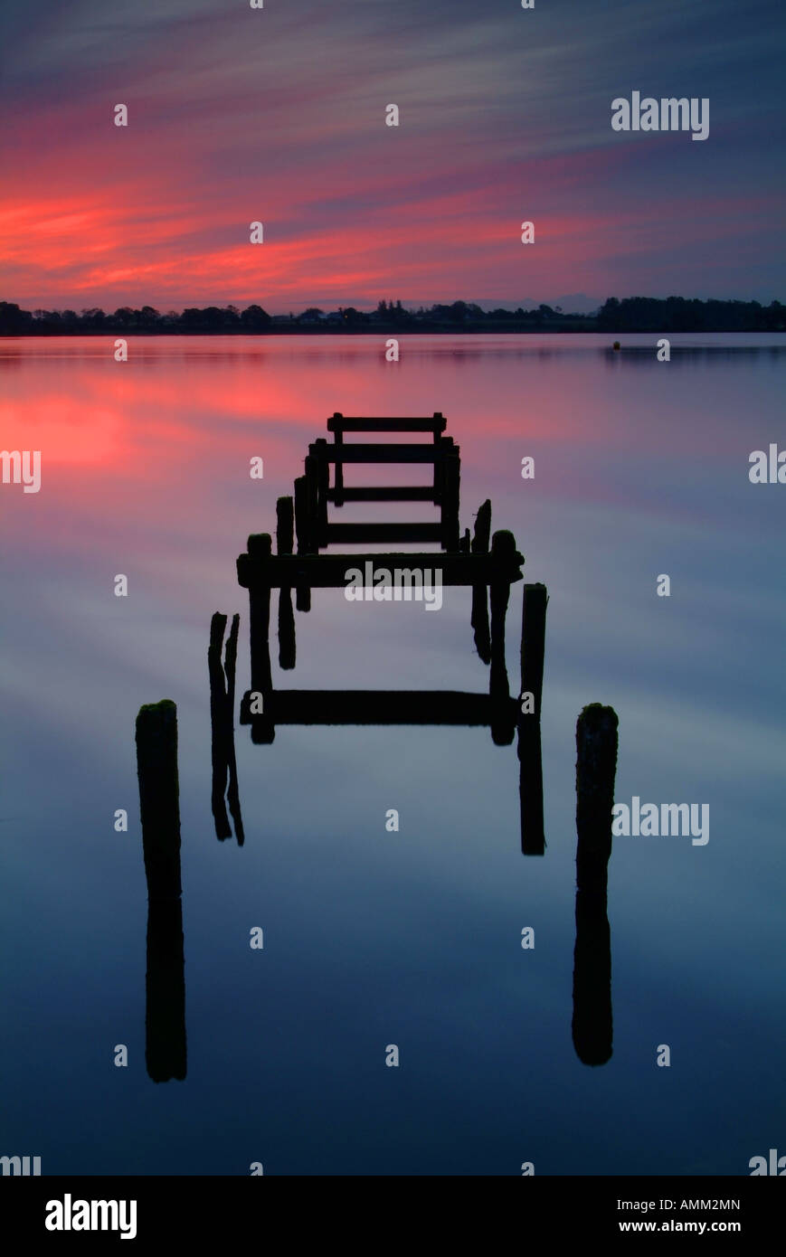 Remains of old jetty on Lough Neagh at Oxford Island Nature reserve, Co ...