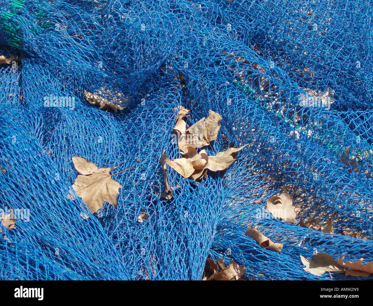 Netting detail hi-res stock photography and images - Alamy