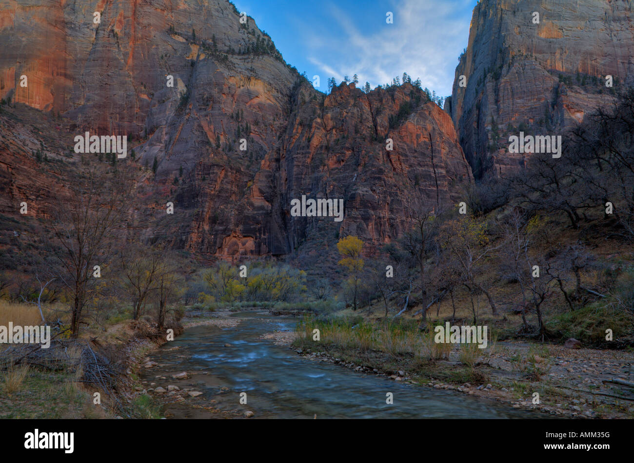 Late fall in the Canyon floor of Zion National Park Stock Photo - Alamy