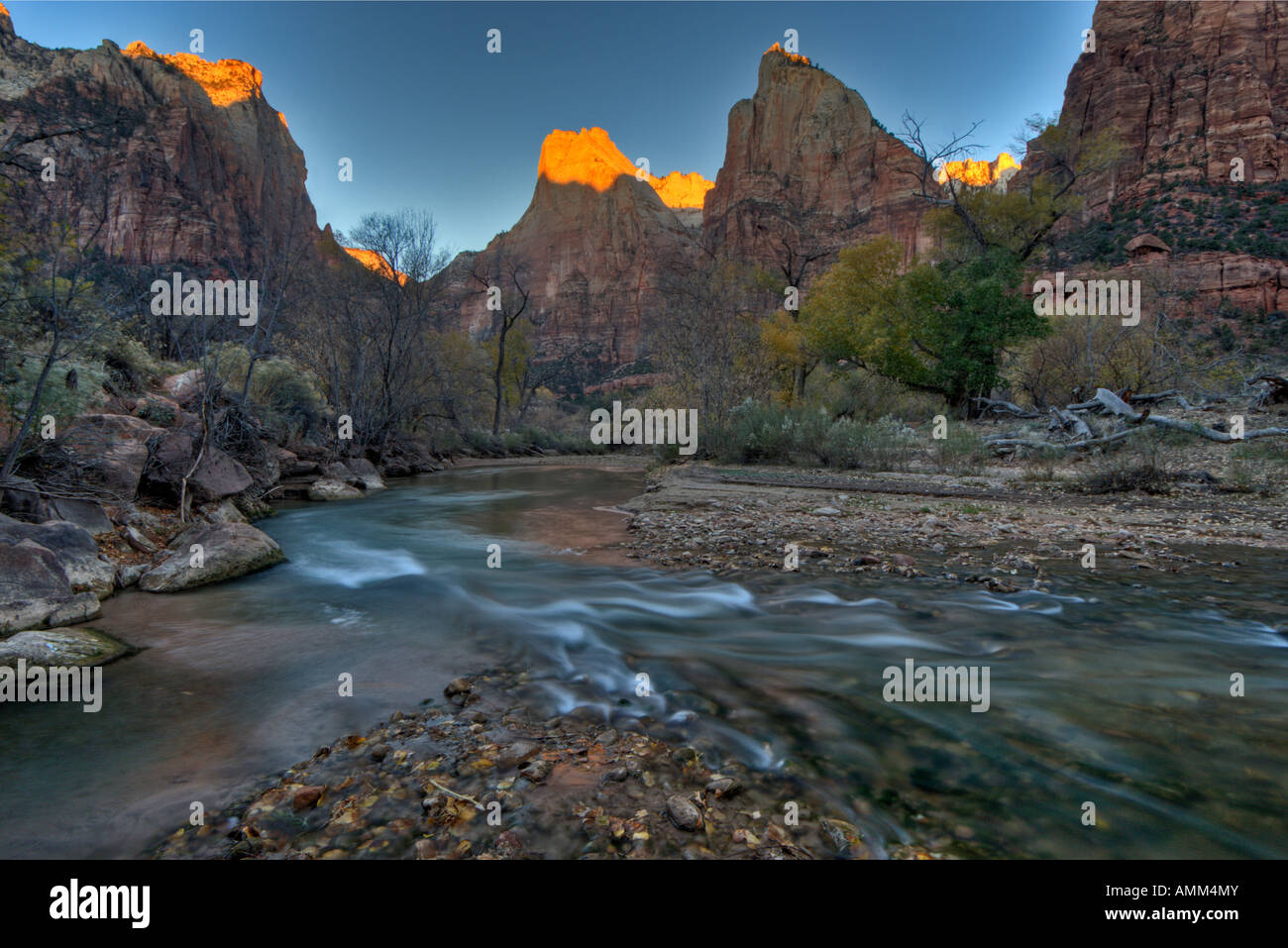 Zion Nation Park canyon floor Stock Photo - Alamy