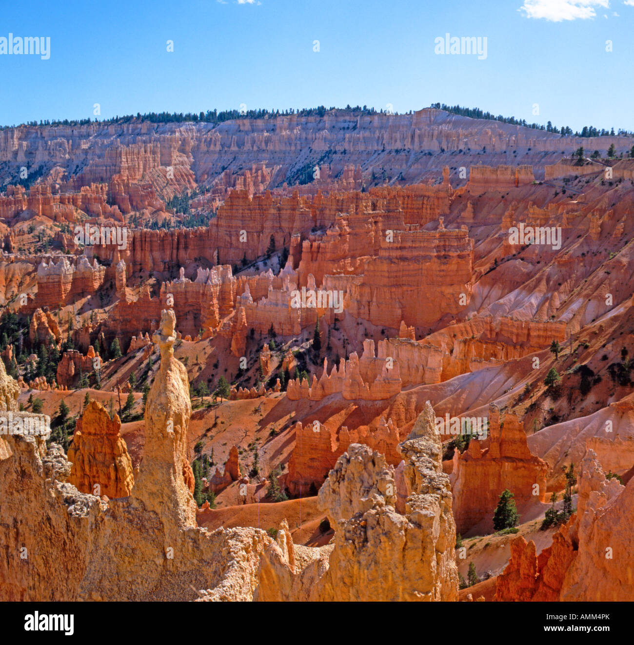 Bryce Canyon, Utah, USA Stock Photo - Alamy