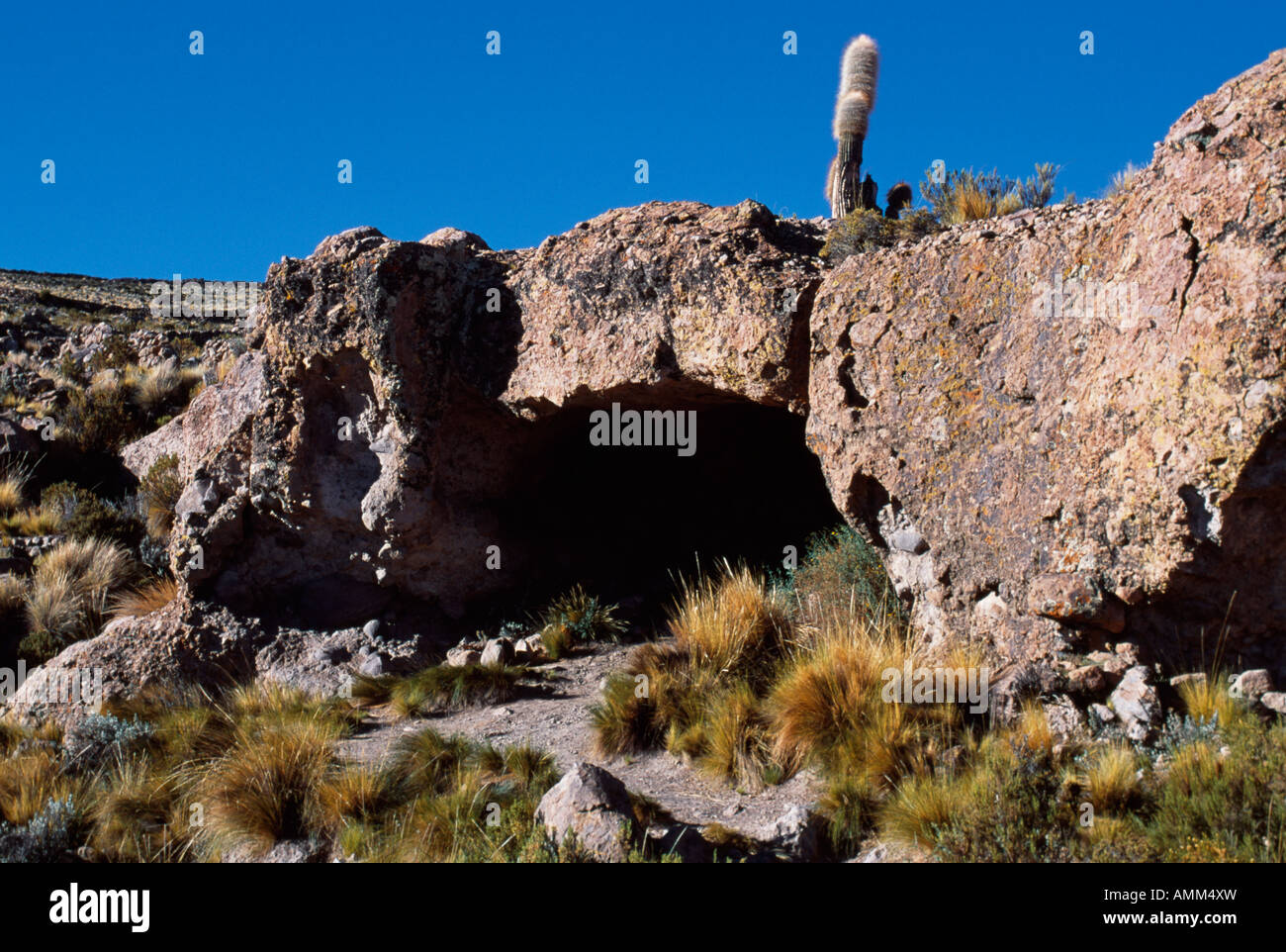 Inca mummy hi-res stock photography and images - Alamy