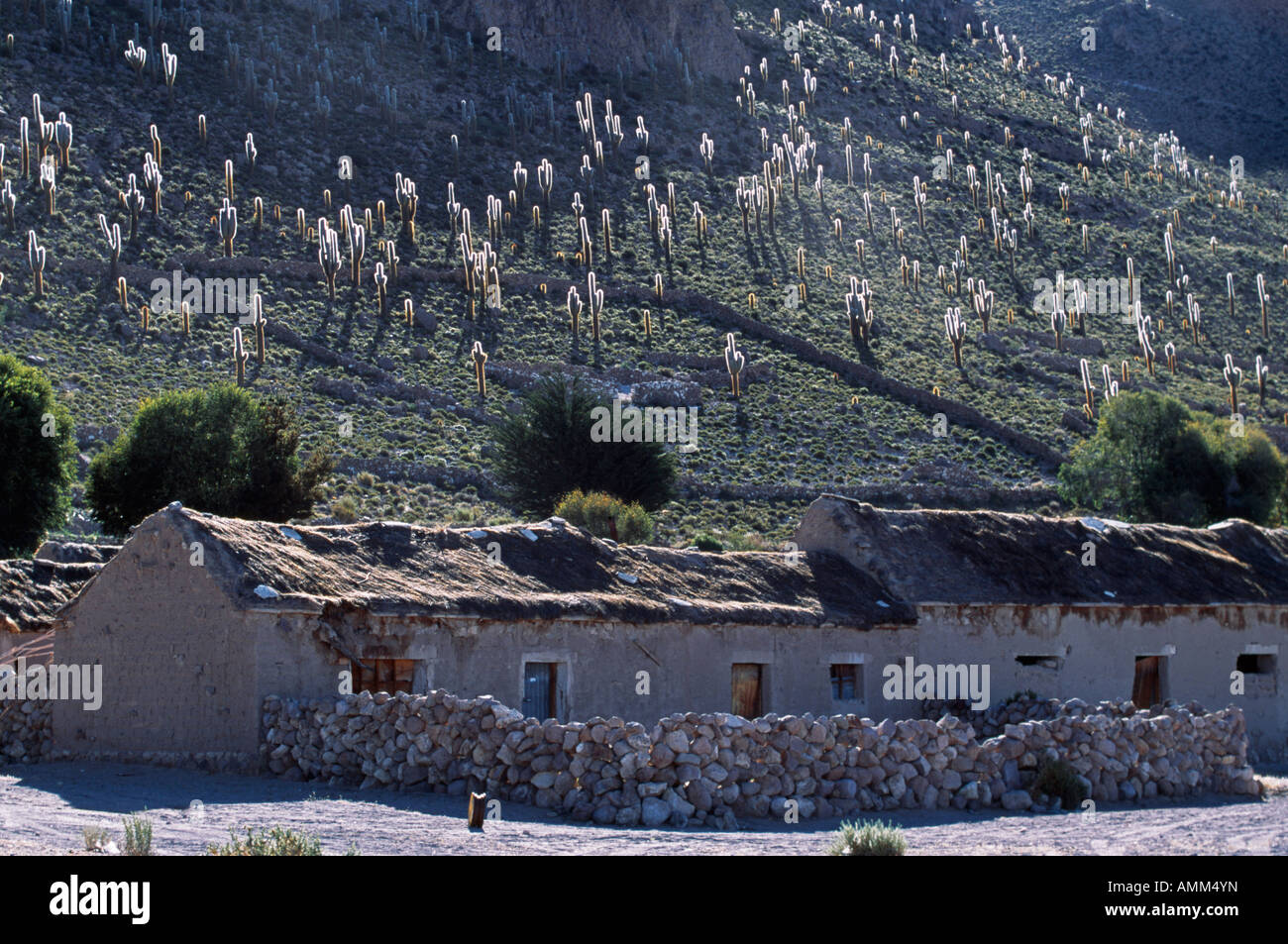 Traditional andean dwelling hi-res stock photography and images - Alamy