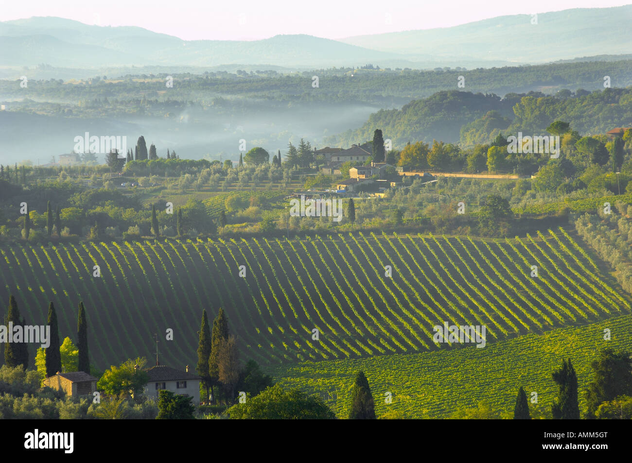 Views across the vineyards and olive groves of the Chianti Region from ...