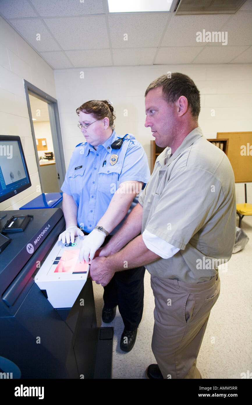 Classification process hi-res stock photography and images - Alamy