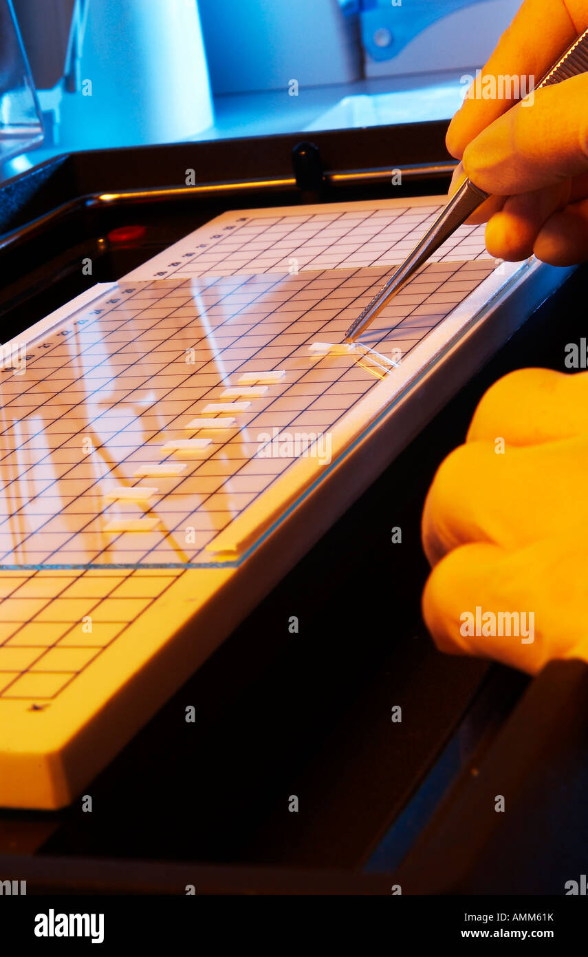 Pincette hi-res stock photography and images - Alamy