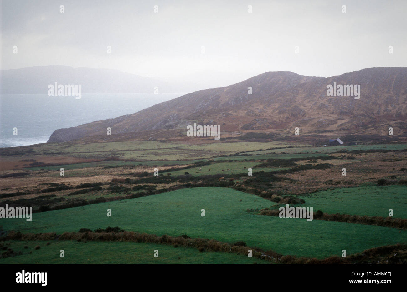 Dunmanus bay cork ireland hi-res stock photography and images - Alamy