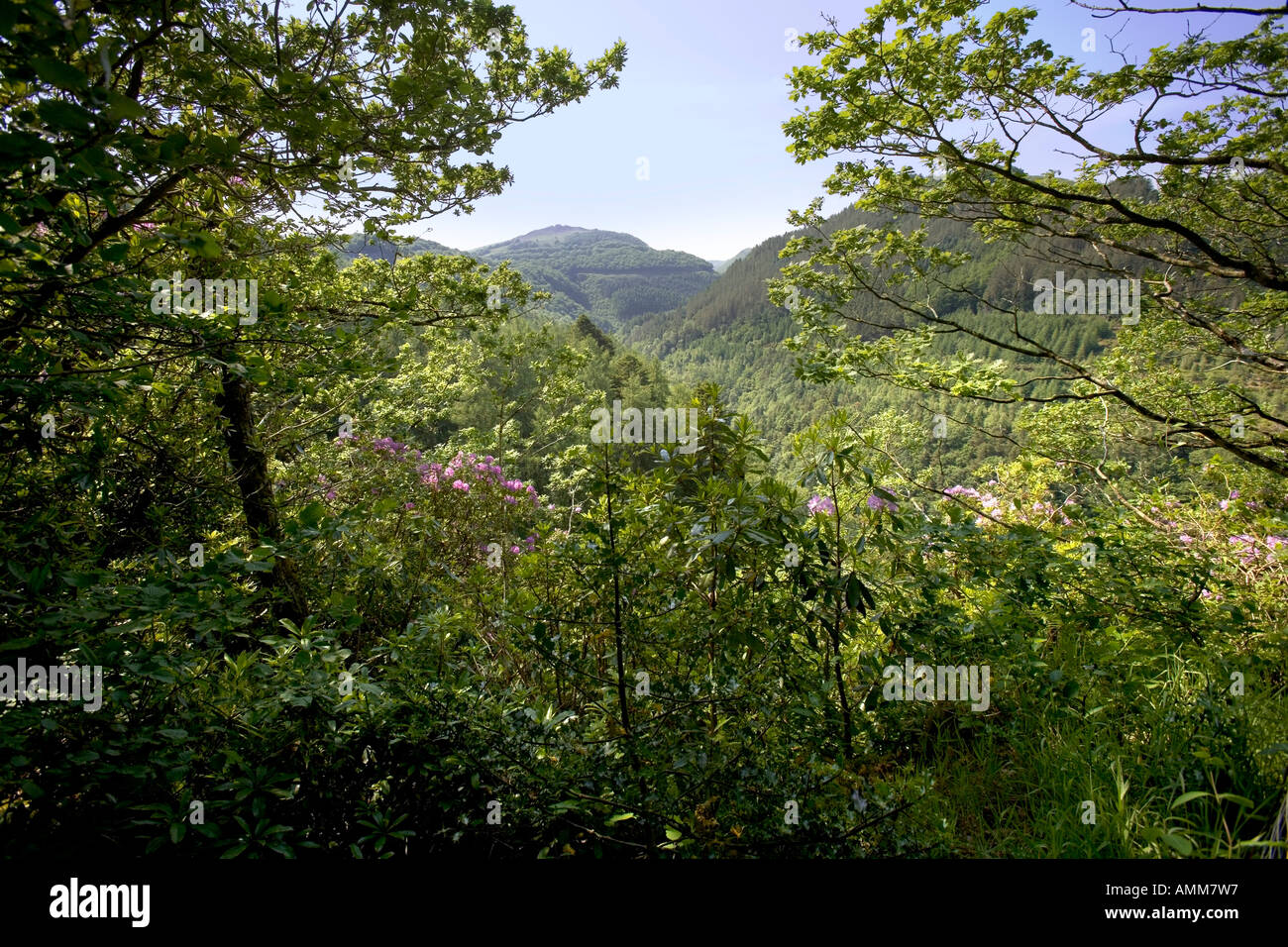 Devil's bridge mynach falls hi-res stock photography and images - Alamy