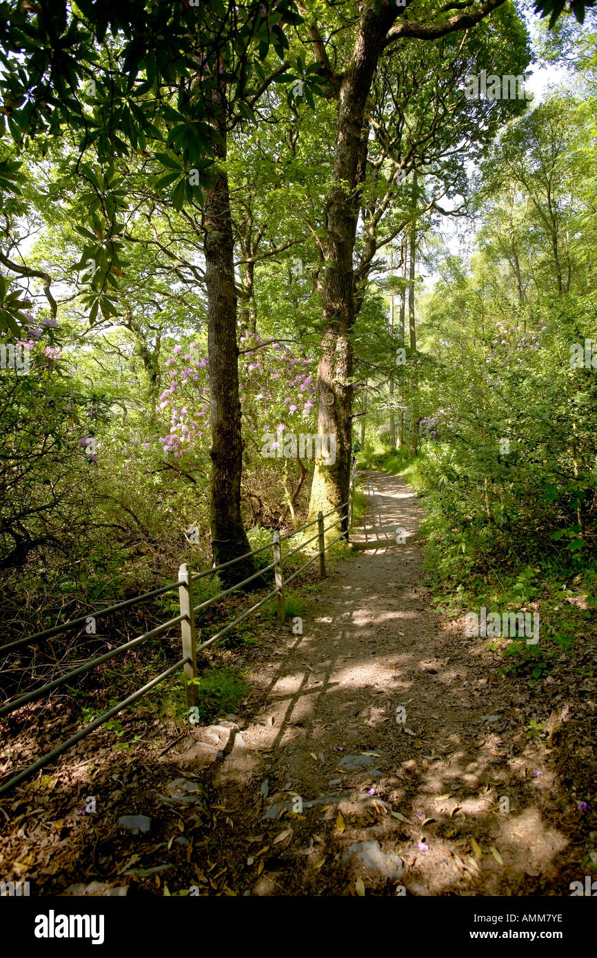 Devil's bridge mynach falls hi-res stock photography and images - Alamy