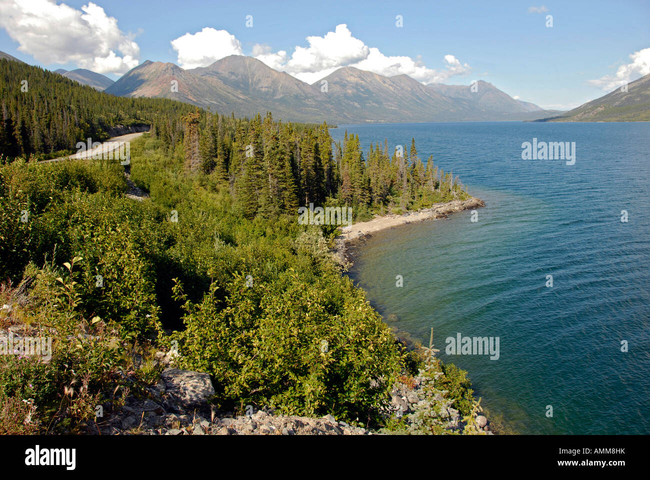 Windy Arm Extension Of Tagish Lake Along South Klondike Highway Yukon Territory Yt Canada Stock