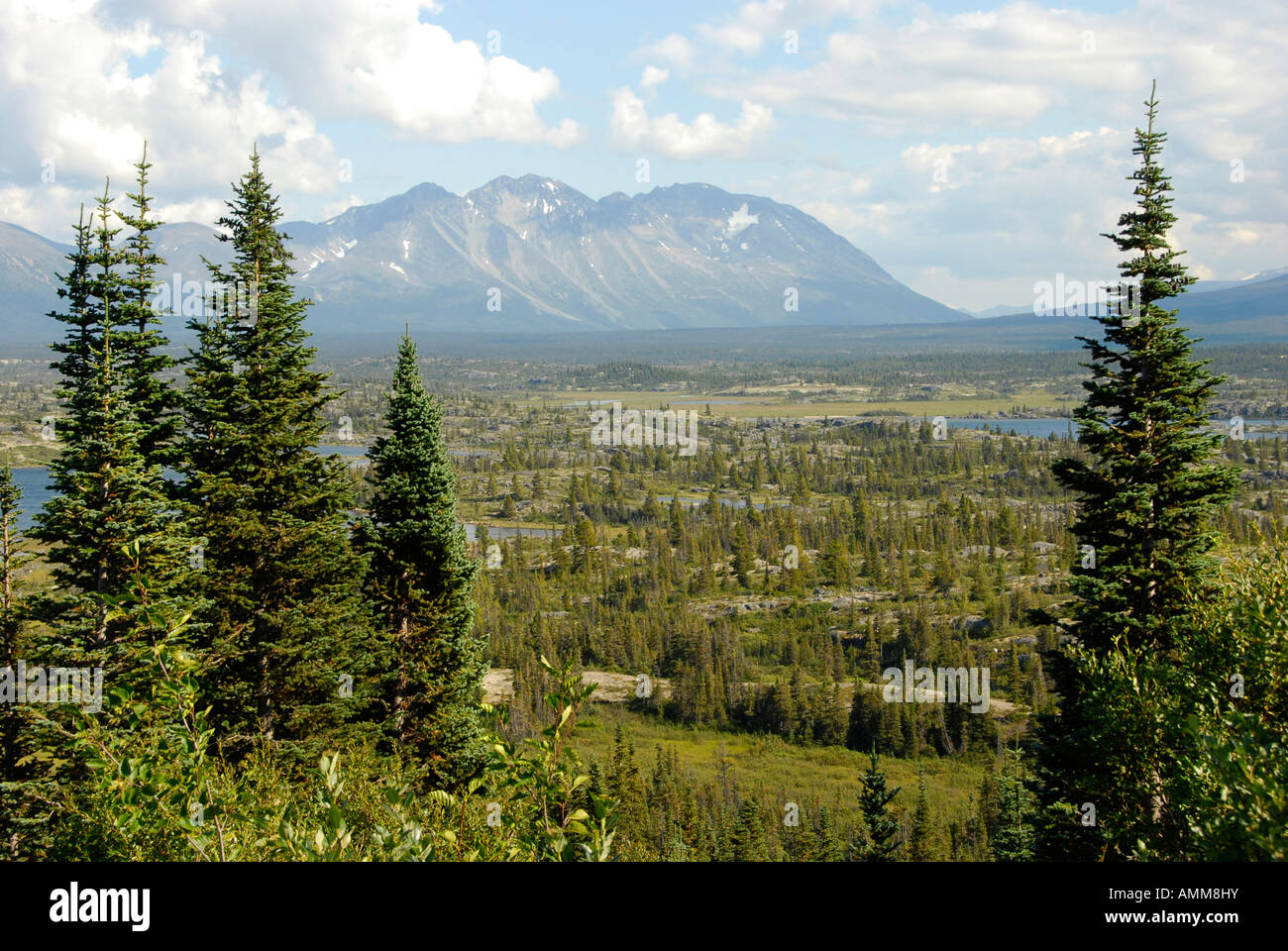 Tormented Valley rocky desolate moonscape along South Klondike Highway ...