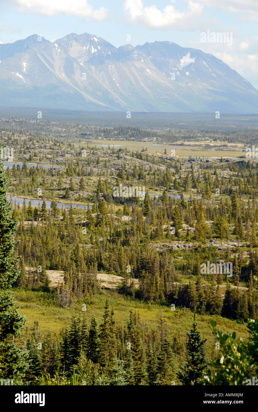 Tormented Valley rocky desolate moonscape along South Klondike Highway ...