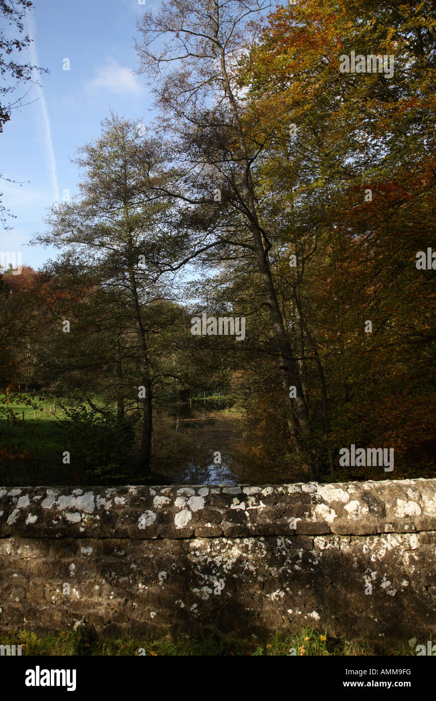 Stone Wall Stream Friday Street Surrey England Stock Photo - Alamy