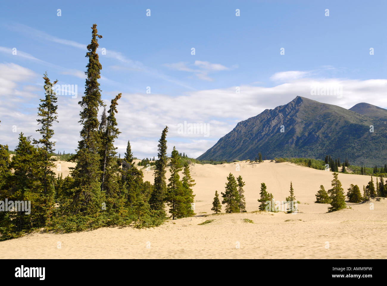 Carcross Desert Smallest Desert in World Yukon Territory YT Canada ...
