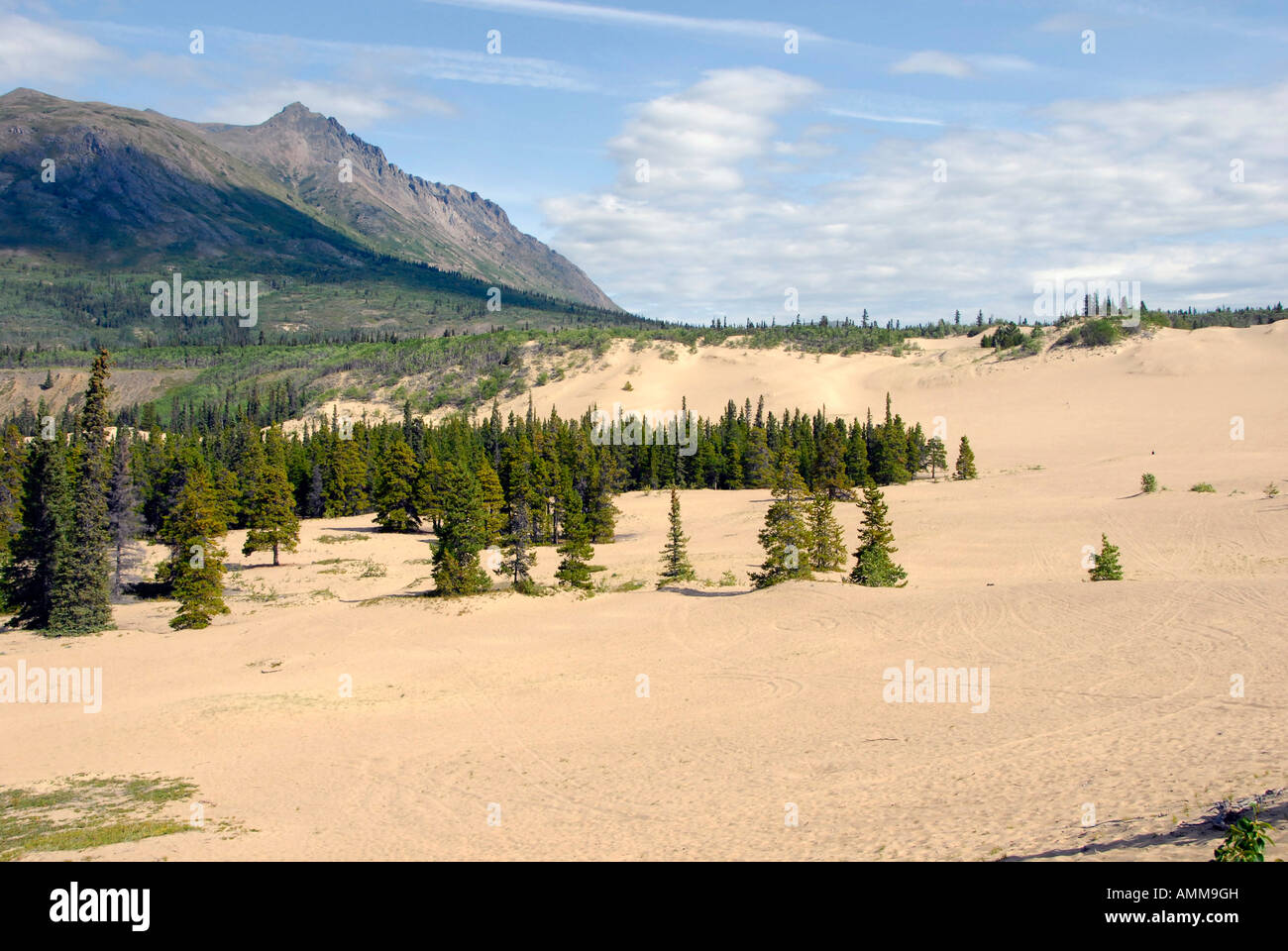 Carcross Desert Smallest Desert in World Yukon Territory YT Canada ...