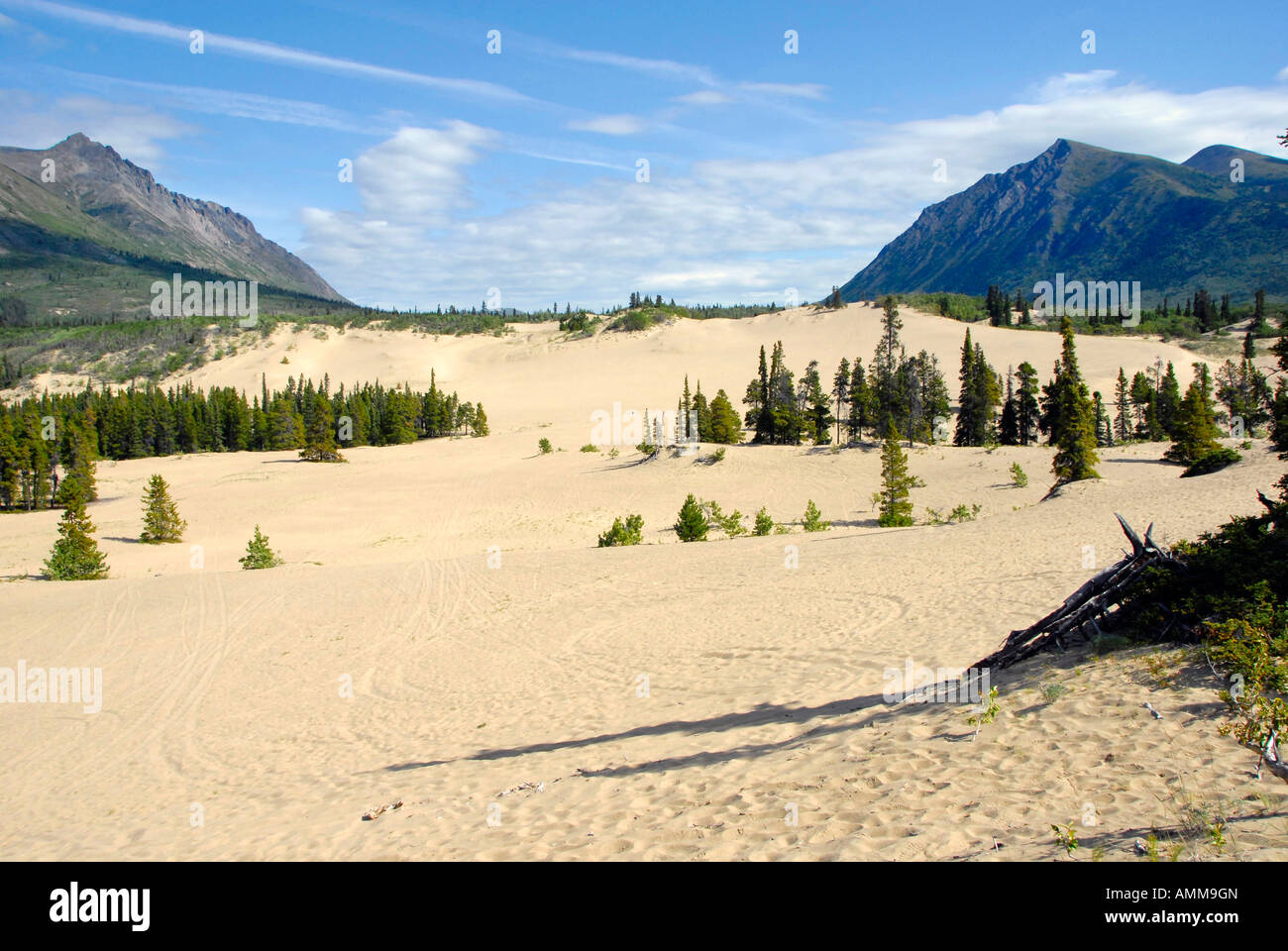 Carcross Desert Smallest Desert in World Yukon Territory YT Canada ...