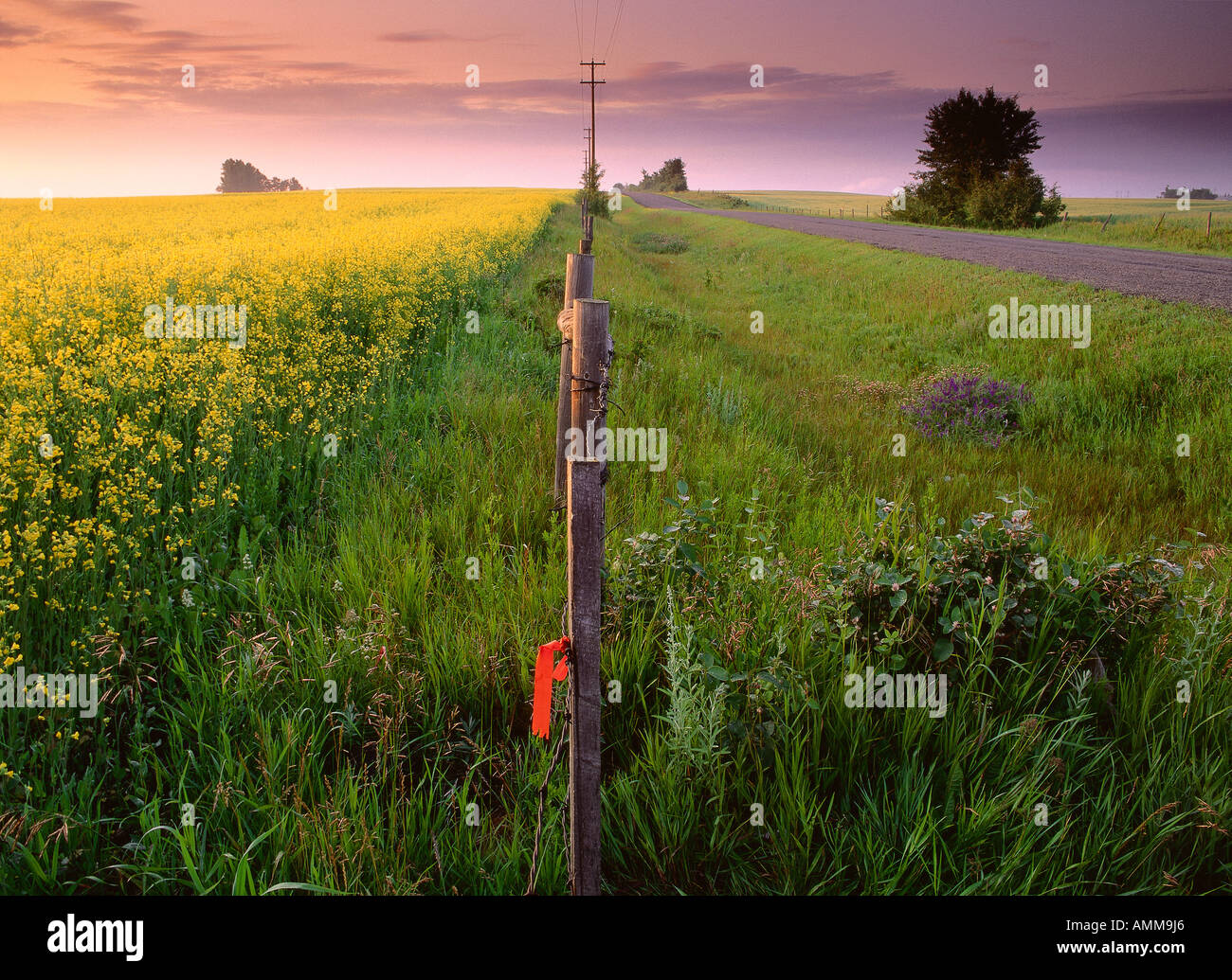 Rural Alberta near Edmonton, Alberta, Canada Stock Photo - Alamy