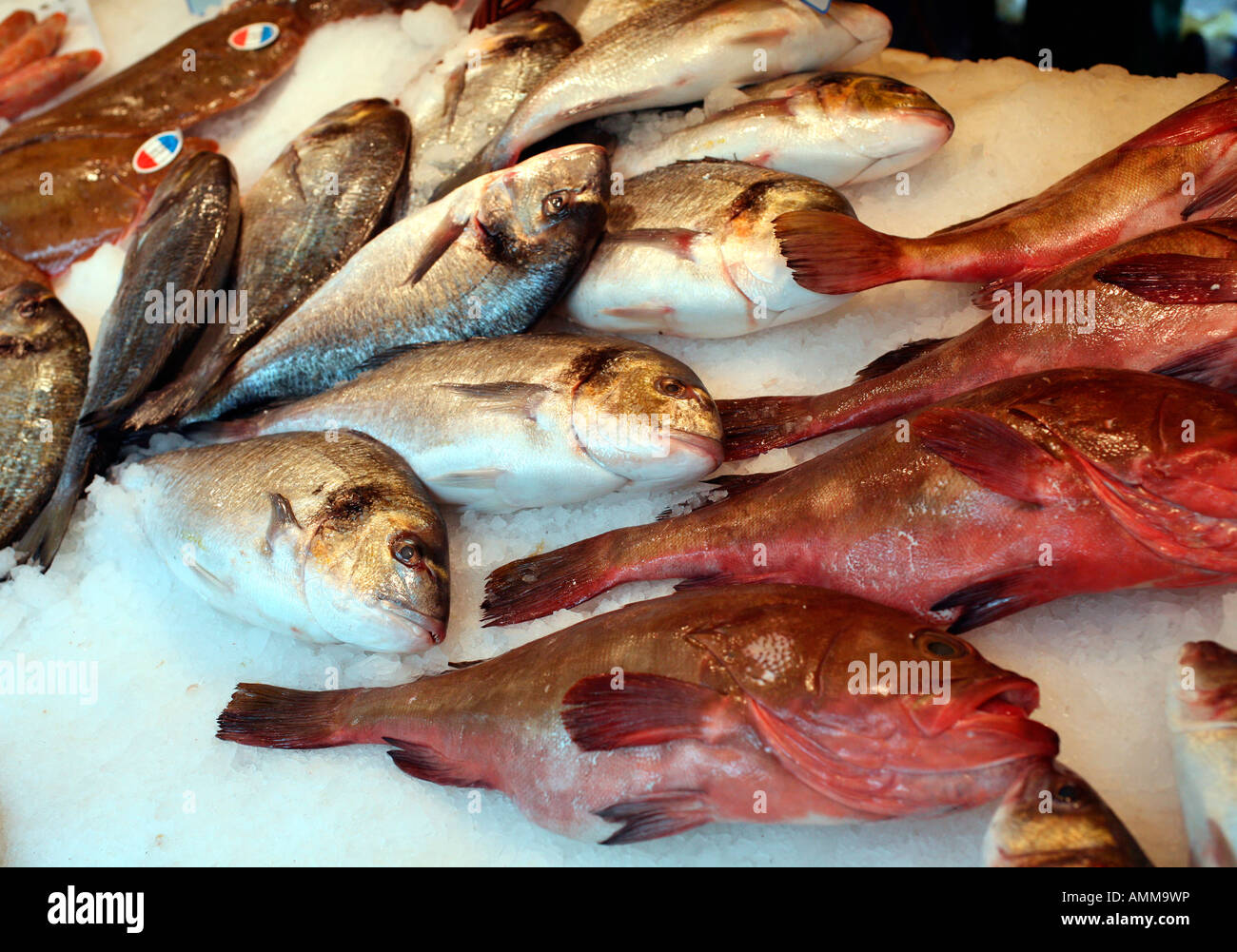 Farmers market on the hi-res stock photography and images - Alamy