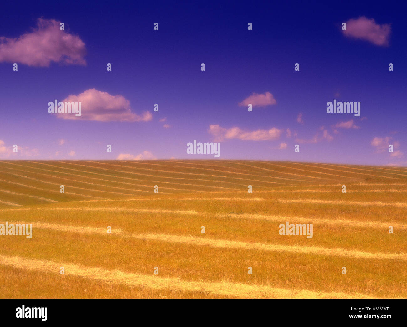 Weyburn sk hi-res stock photography and images - Alamy